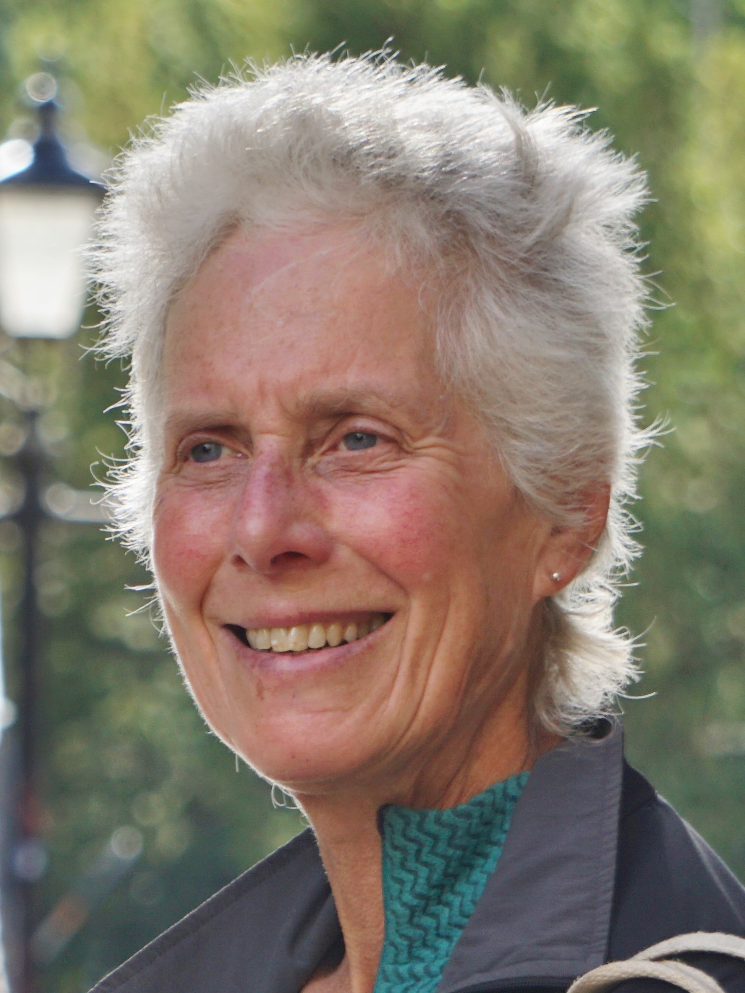 Biography – Anne Miller